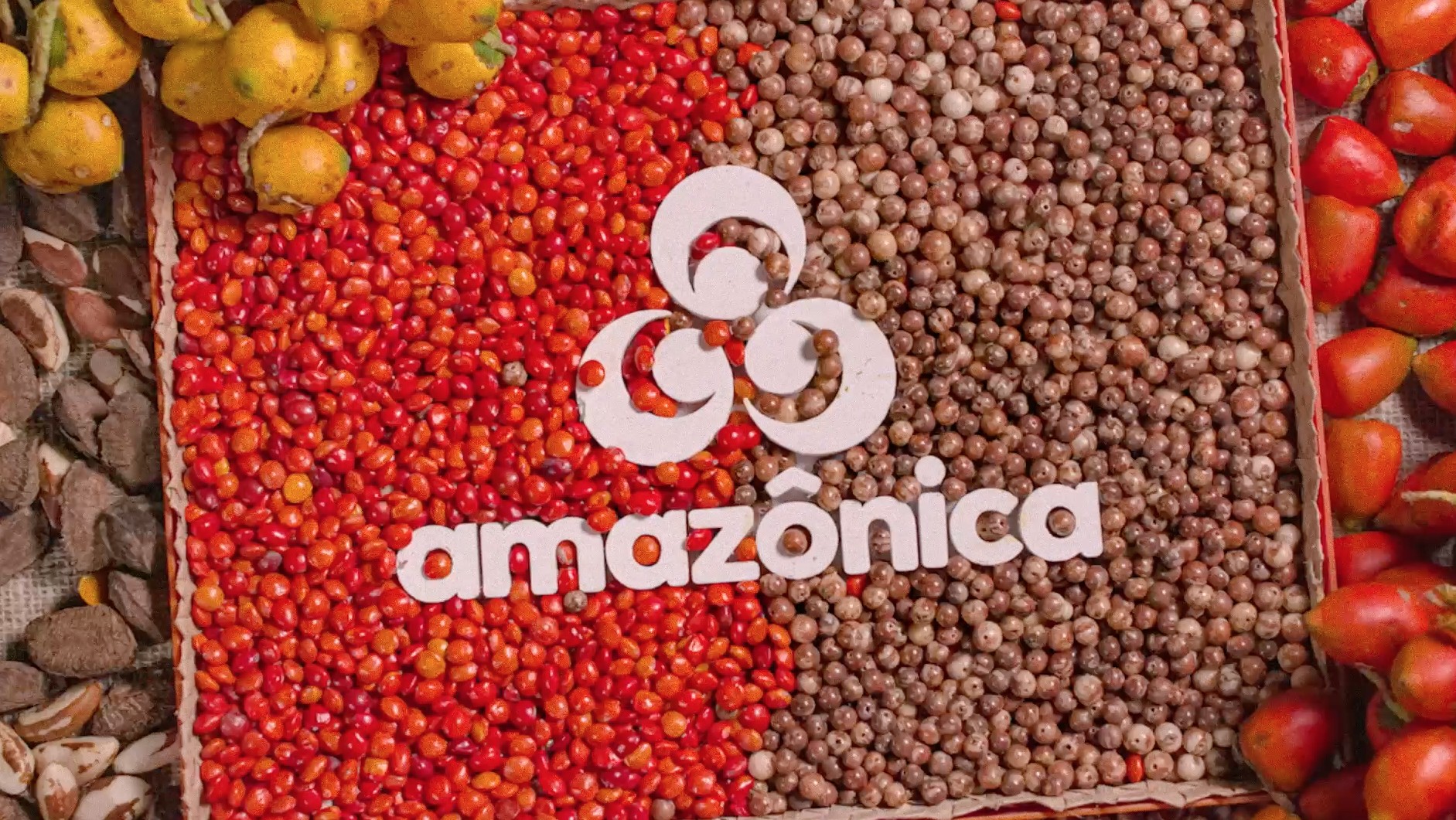 Rede Amazônica estreia nova identidade visual | Rede globo