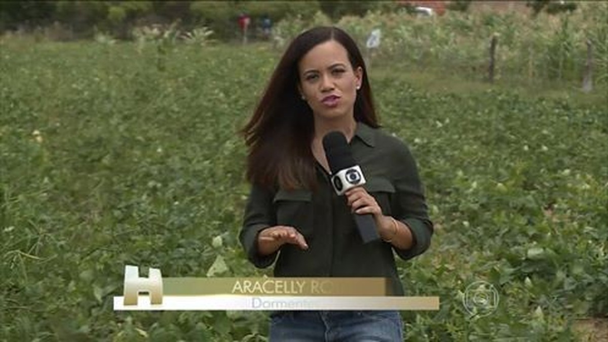 Aracelly Romão fala sobre experiência na TV Grande Rio: 'Gosto de desafios'