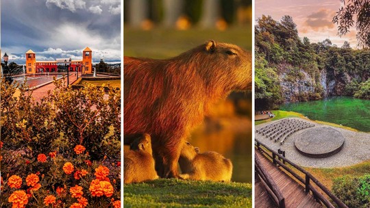 Faça chuva, faça Sol: fotos de Curitiba mostram a beleza da capital do ...