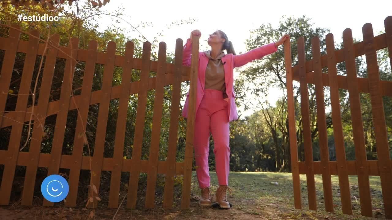 Conheça Campo Magro: uma cidade que conta com riquezas naturais e ...