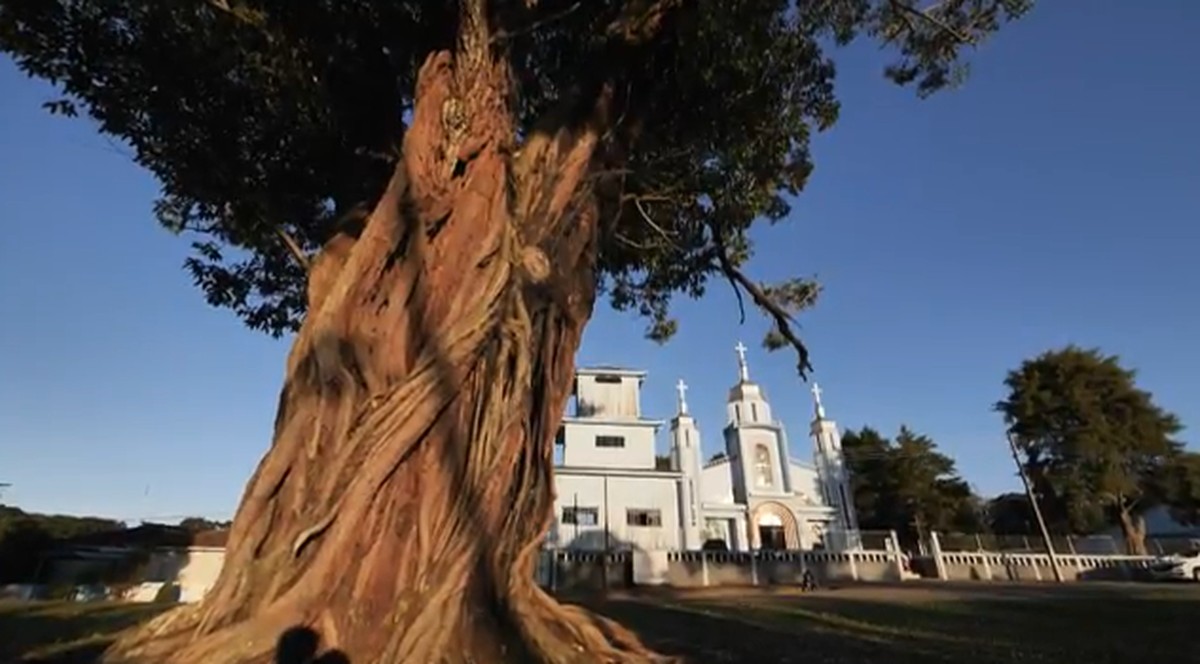 Localizada ao sul do Paraná, Paulo Frontin é rica em natureza ...
