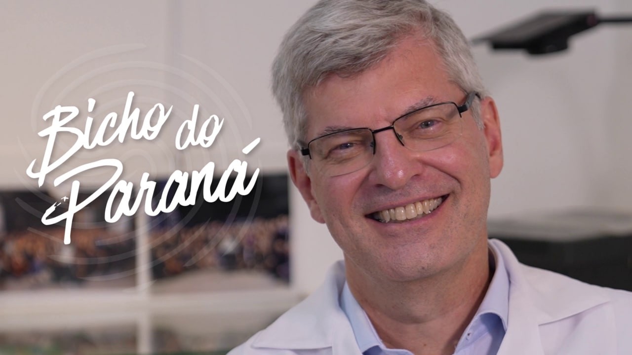 Cesar Boguszewski é Bicho do Paraná: conheça a história do médico ...