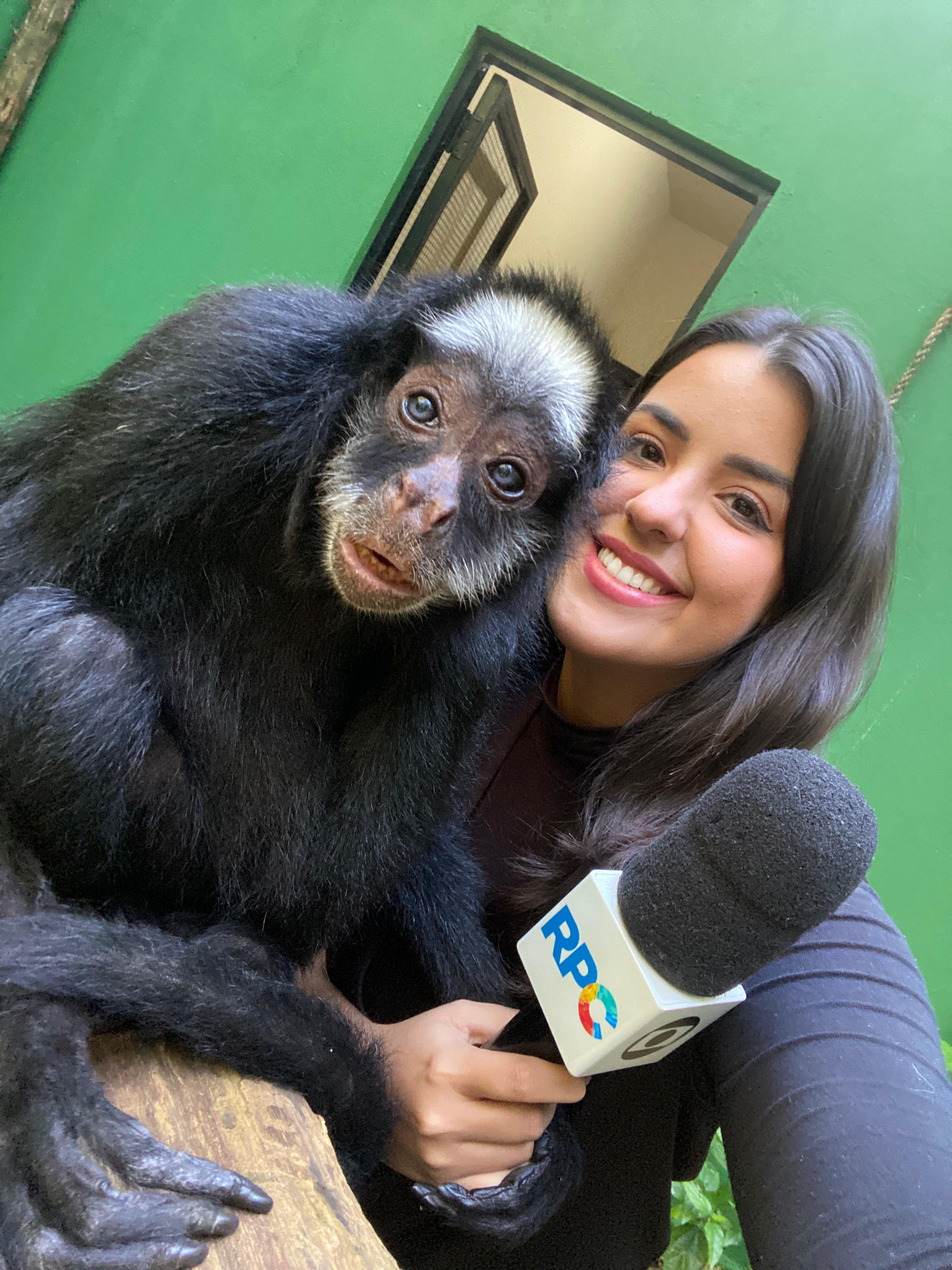 Chita, a moradora mais carismática do Zoo de Cascavel, é destaque no ...