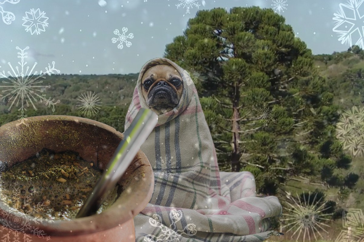 10 coisas que todo paranaense friorento já fez no inverno | RPC | Rede ...