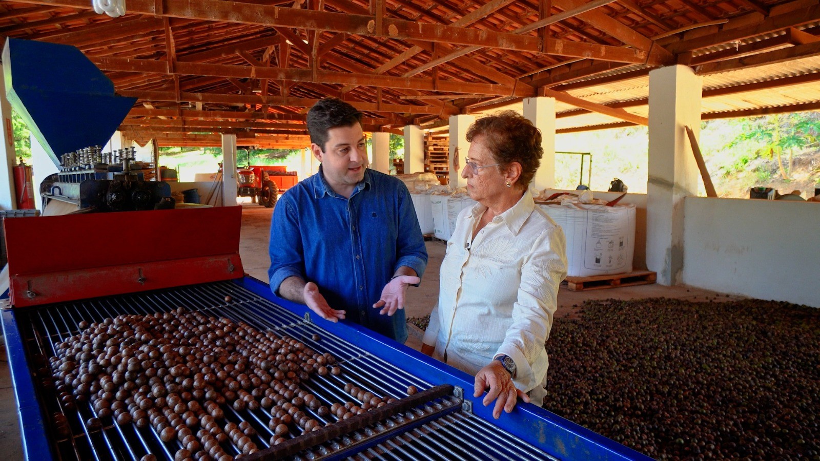Produtora transforma fazenda em referência no cultivo sustentável de ...