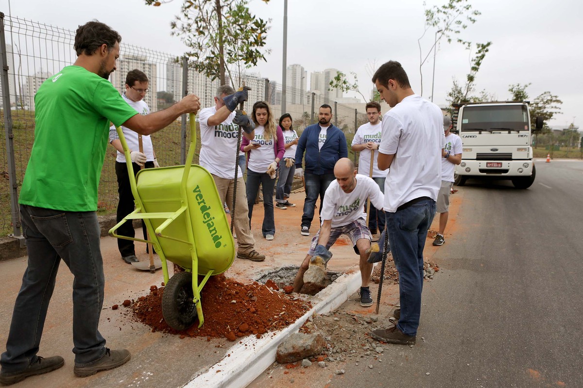 Mutirão transforma a paisagem de área industrial do bairro da Mooca