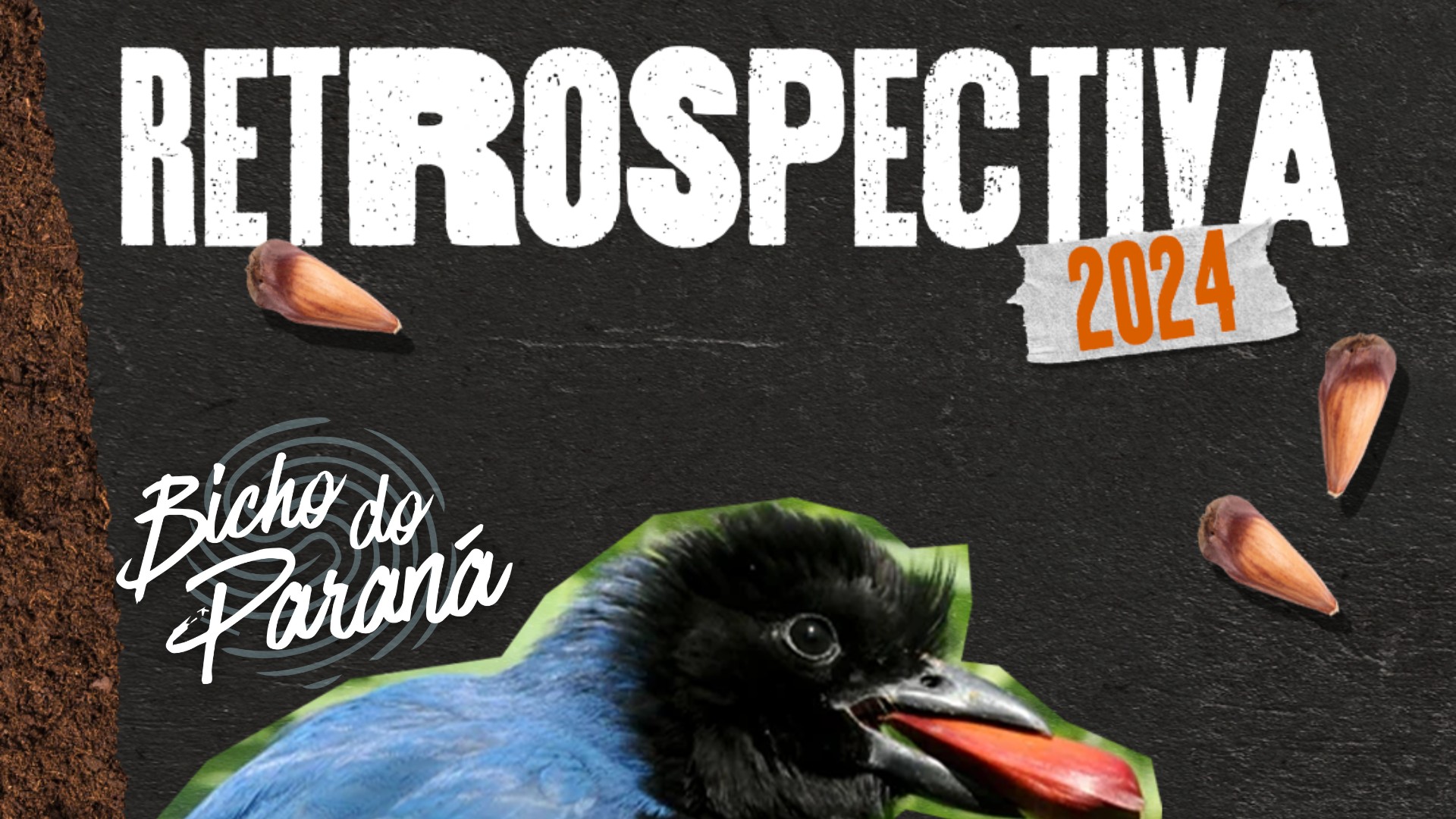 Retrospectiva Bicho do Paraná 2024: veja tudo o que aconteceu nessa ...