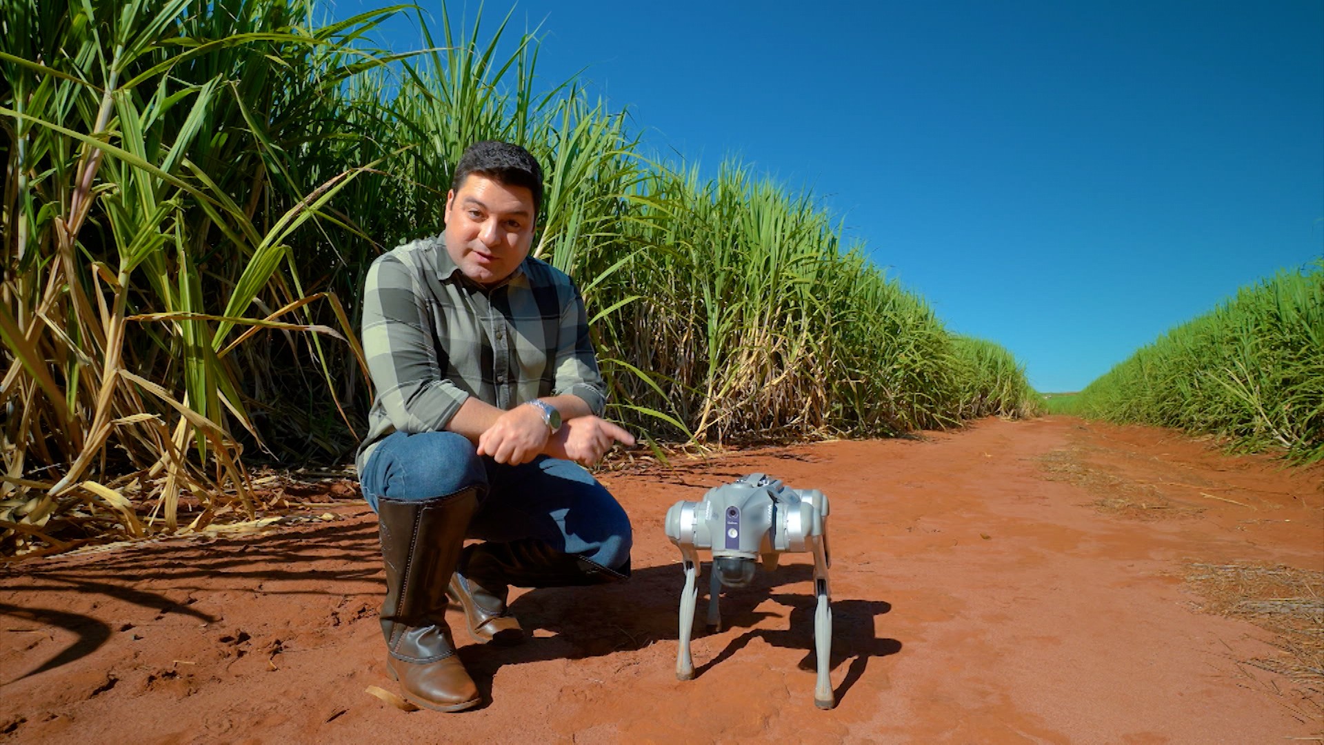 Robô em forma de cachorro revoluciona monitoramento no campo | Rede globo