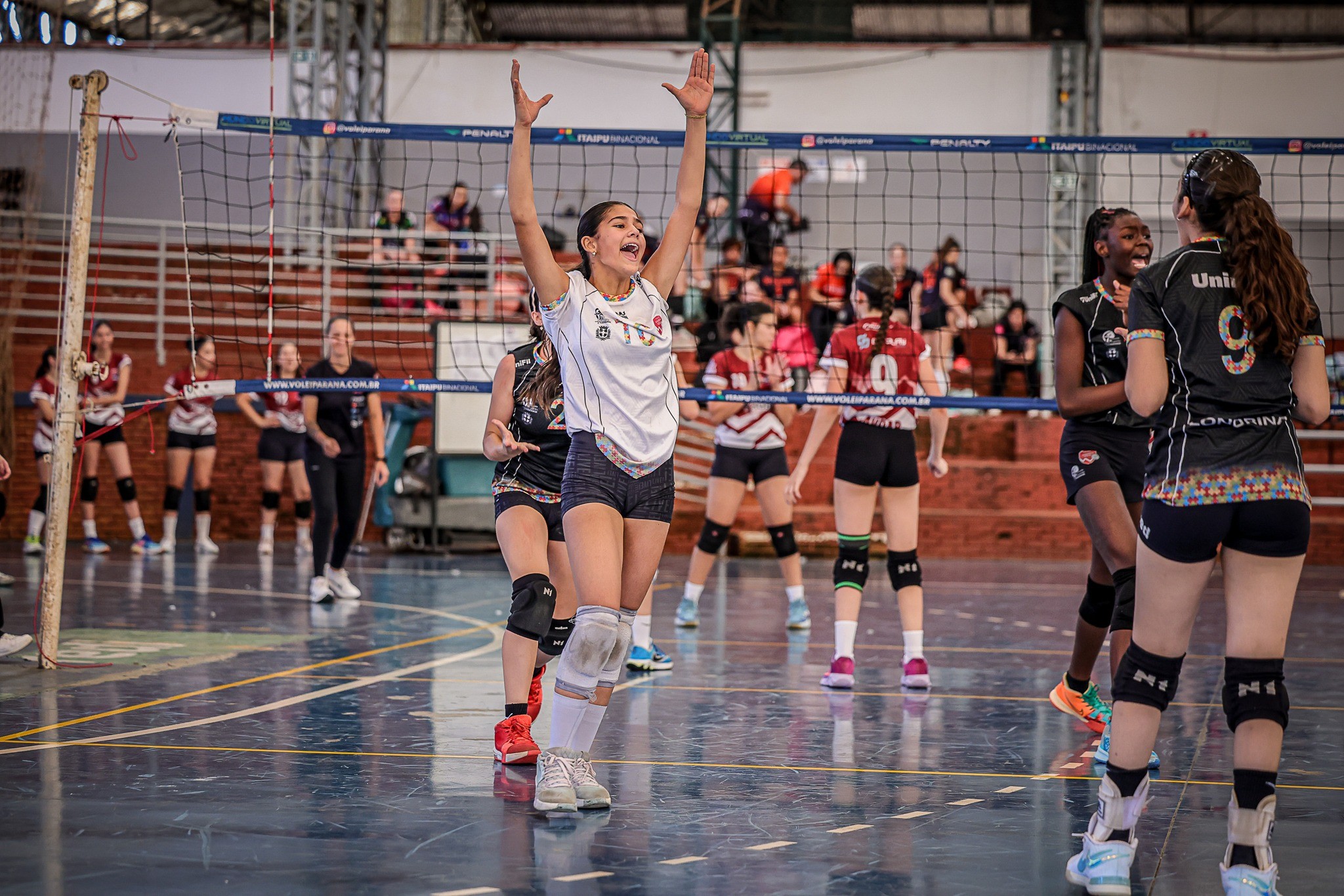 Vá ao ginásio: apoie o Londrina Vôlei na partida contra o Abel Moda ...