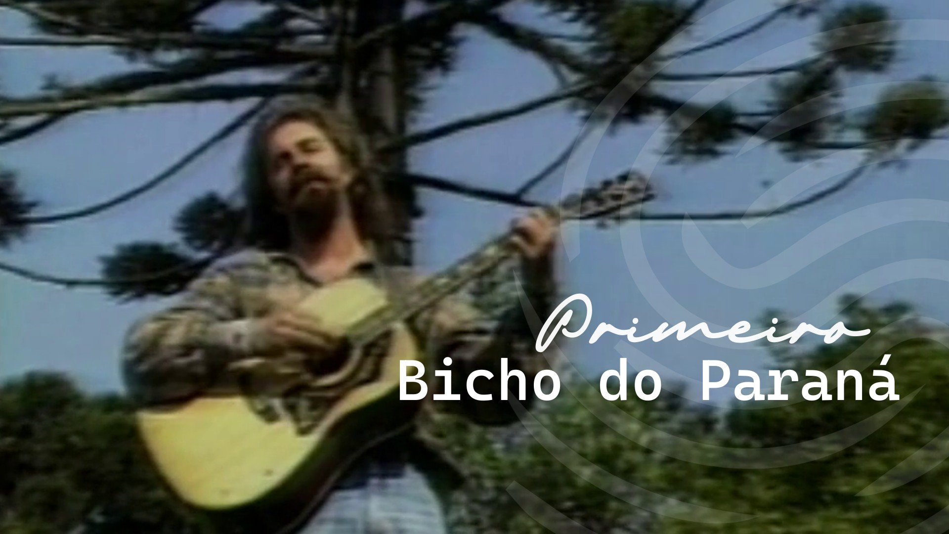 Você sabe quem foi o primeiro Bicho do Paraná na campanha da RPC ...