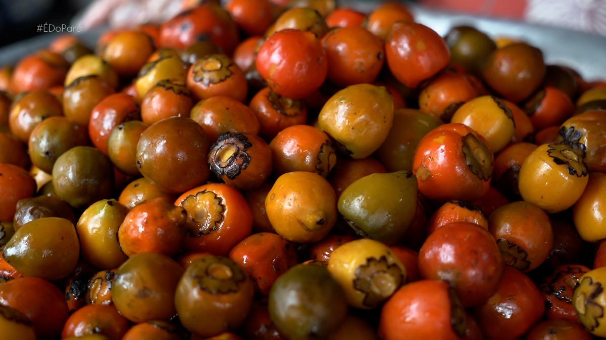 Pupunha: o ouro da Amazônia que alimenta a cultura paraense