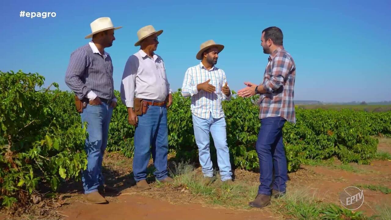 Conheça três histórias que mostram a versatilidade do agro | Rede globo