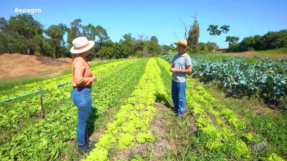 Acompanhe o dia de dois agricultores na Agrishow | EP Agro | Rede Globo