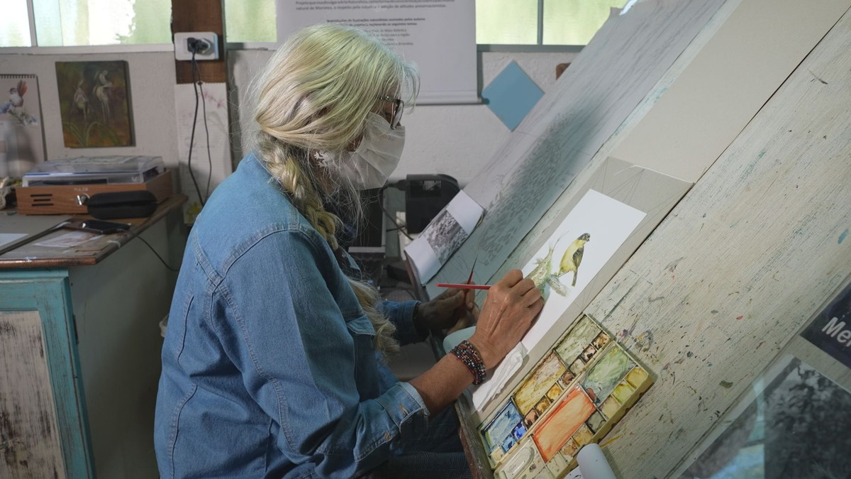 Natureza em forma de arte: conheça artistas que se inspiram na fauna e ...