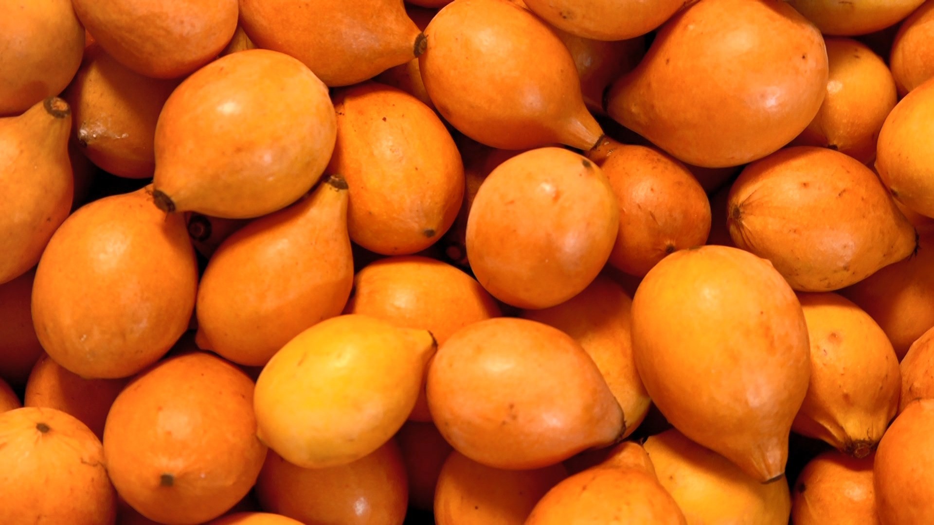 Achachairu: a fruta exótica da Bolívia que começa a ganhar espaço no ...