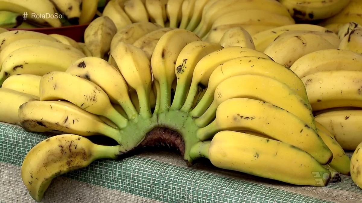 Rota do Sol ensina a fazer três receitas saborosas com banana