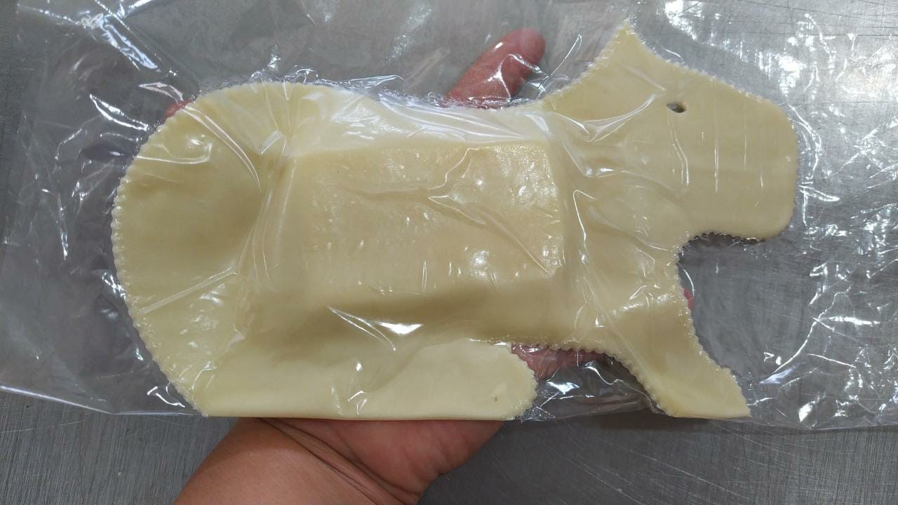 Pastel em formato de capivara: conheça o lanche que está fazendo ...