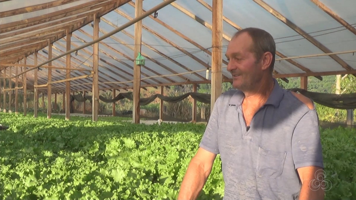 Bom Dia Amazônia destaca segundo episódio da série sobre Apuí ...