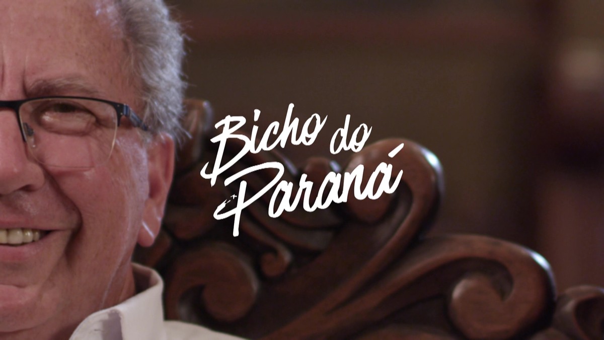 Dirceu Rosa é Bicho do Paraná: conheça a história do escultor ...