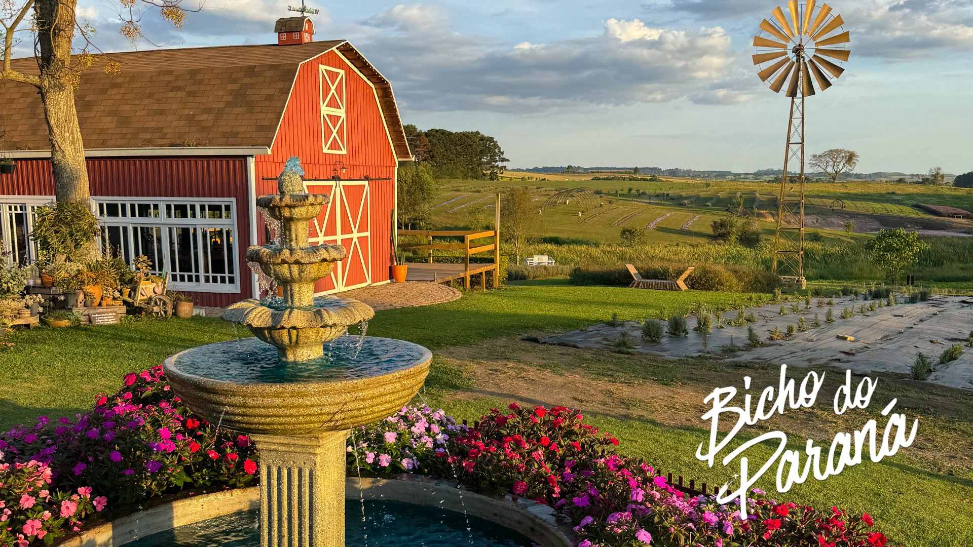 Tudo sobre o Concurso de Fotos Bicho do Paraná e como participar | Rede ...