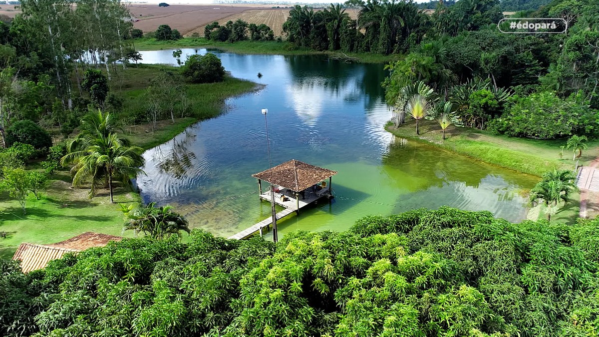 Paragominas: belezas naturais e desenvolvimento no sudeste paraense | É do Pará | Rede Globo
