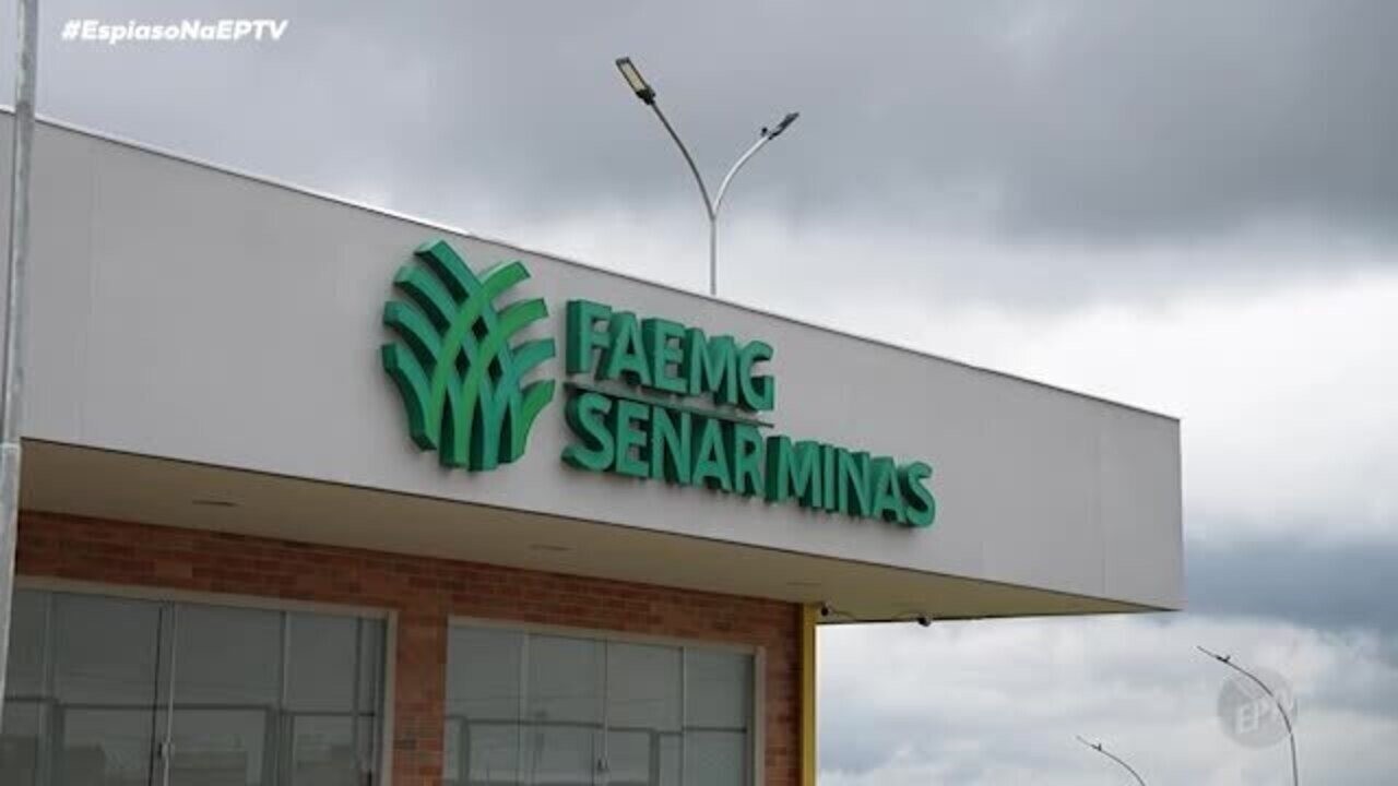 Varginha: A força da cafeicultura brasileira no cenário internacional