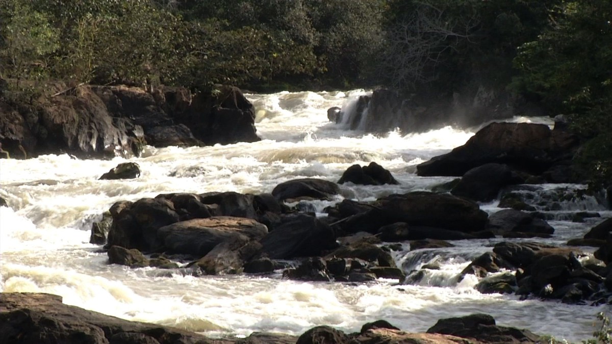 'Revista' viajou pelas histórias e curiosidades de Rio das Flores