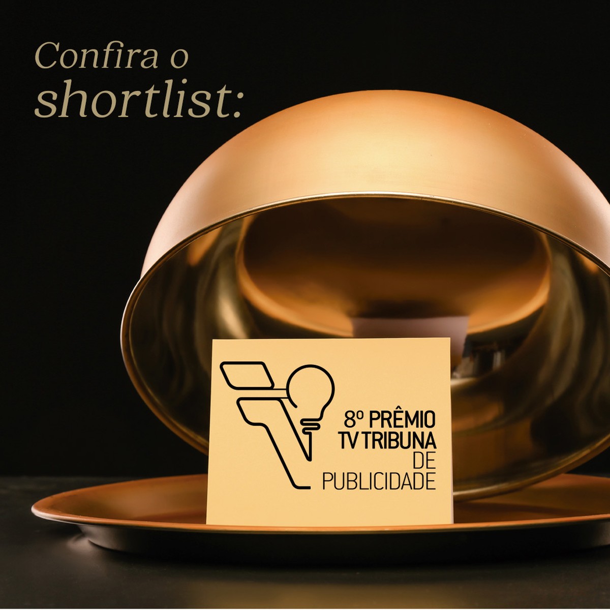 Divulgados os 10 finalistas da categoria profissional do 8º Prêmio TV ...