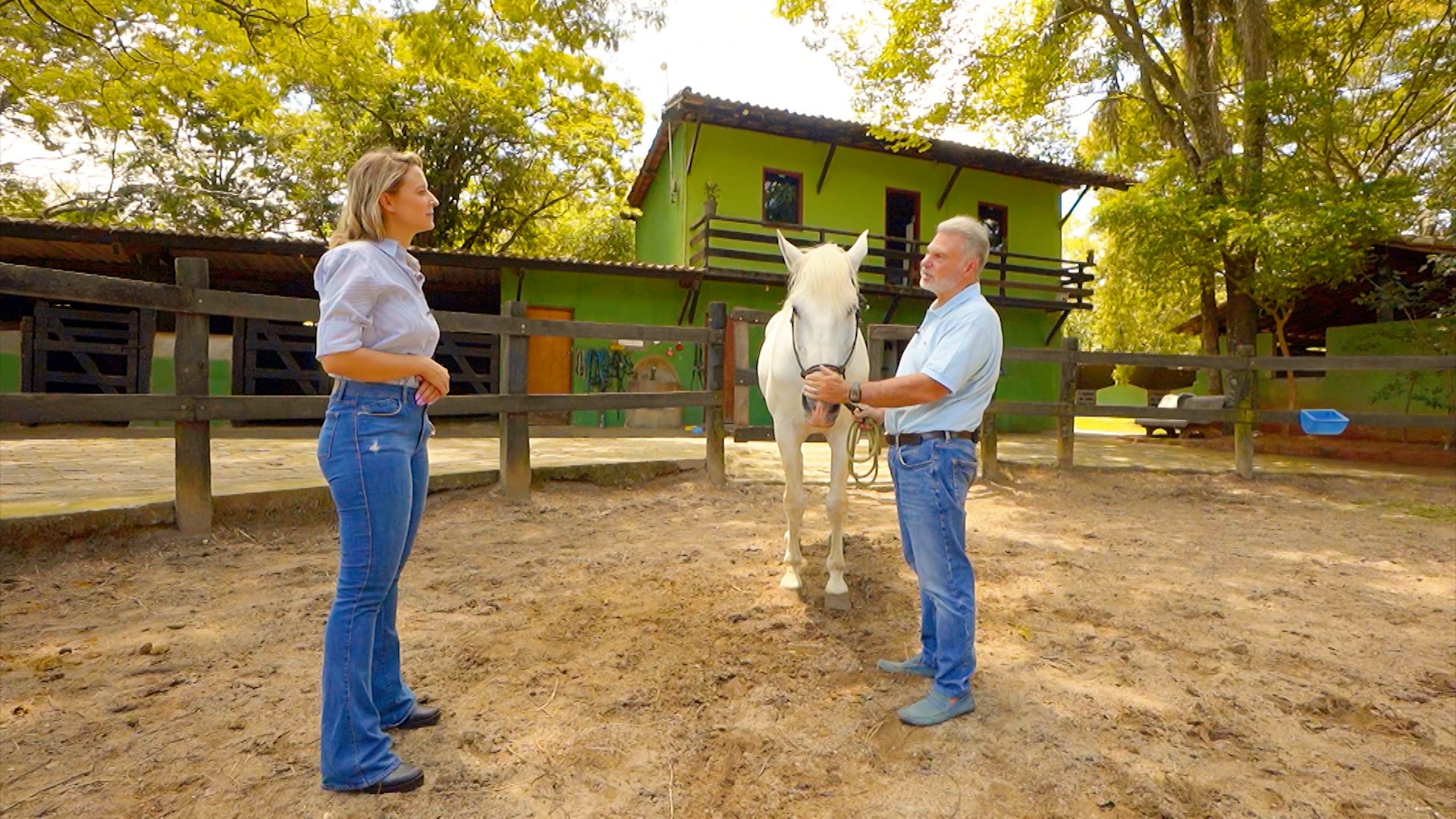 Descubra o segredo de um cavalo campeão