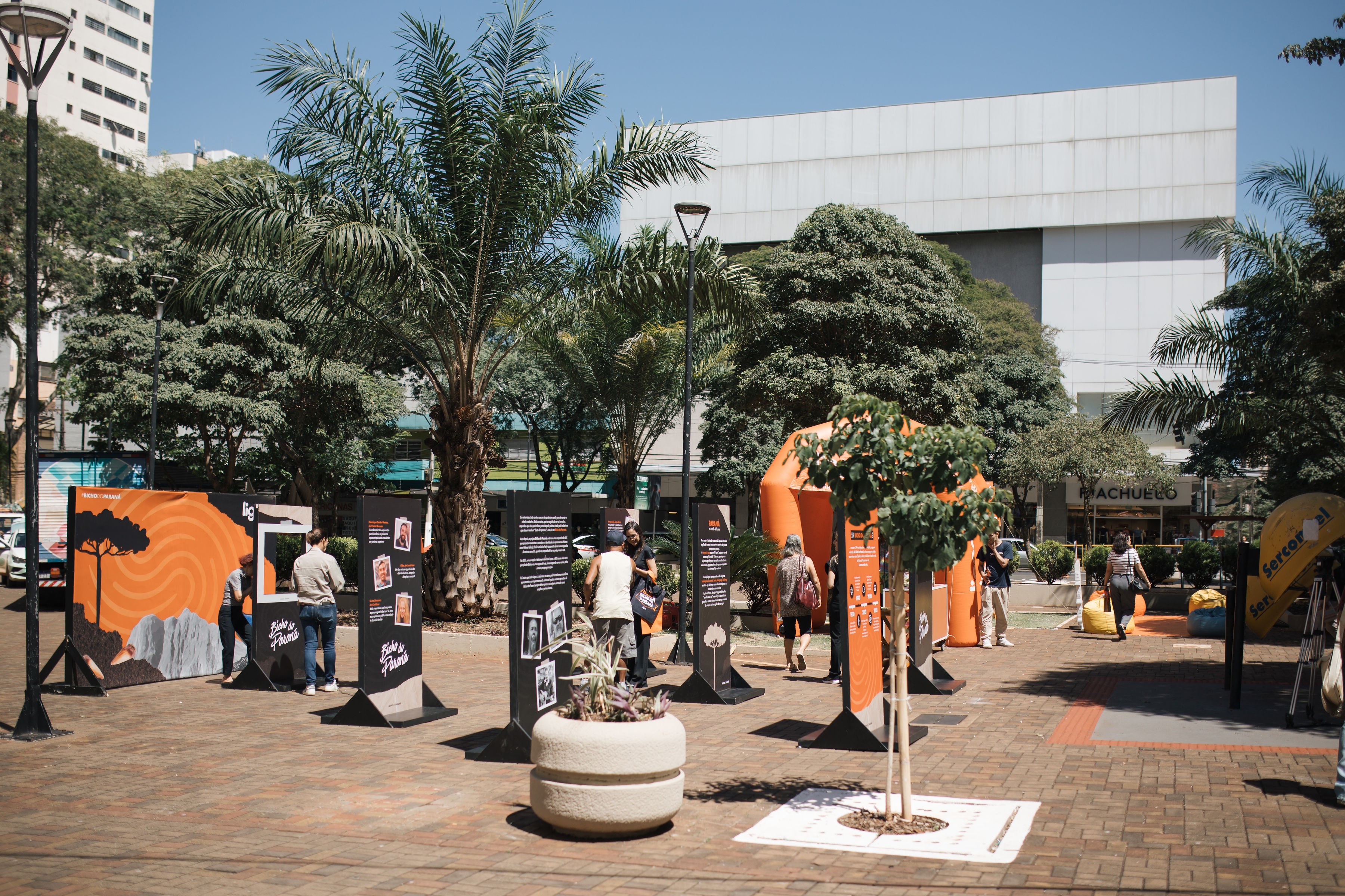 Atividades gratuitas em Matinhos no Conecta Verão Bicho do Paraná ...
