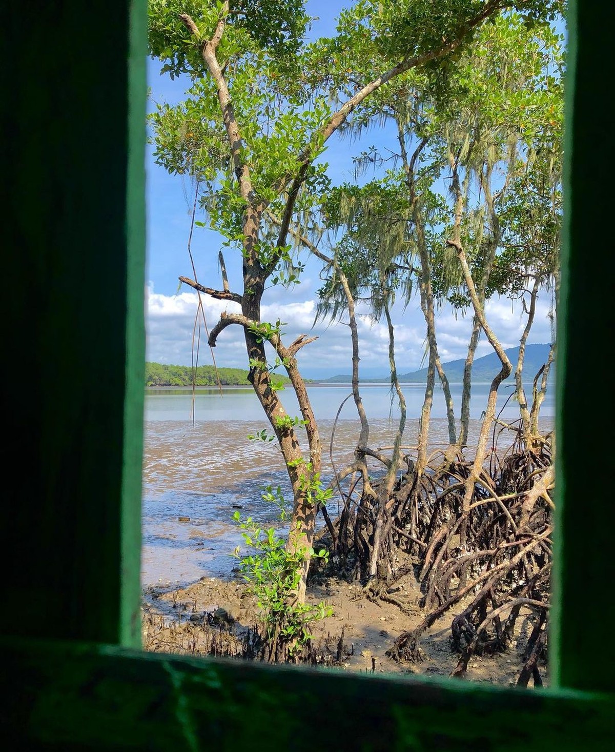 3 motivos para você conhecer Alexandra, em Paranaguá | Extras Plug ...